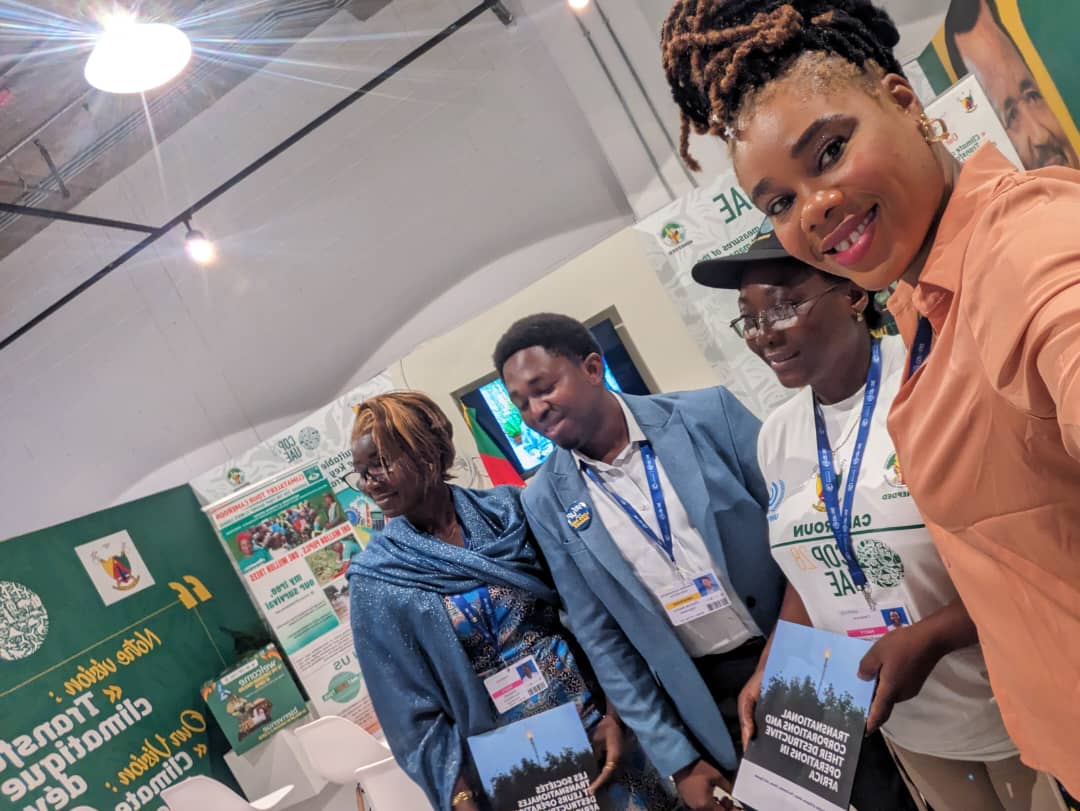 Home - CAPPA - Corporate Accountability and Public Participation Africa